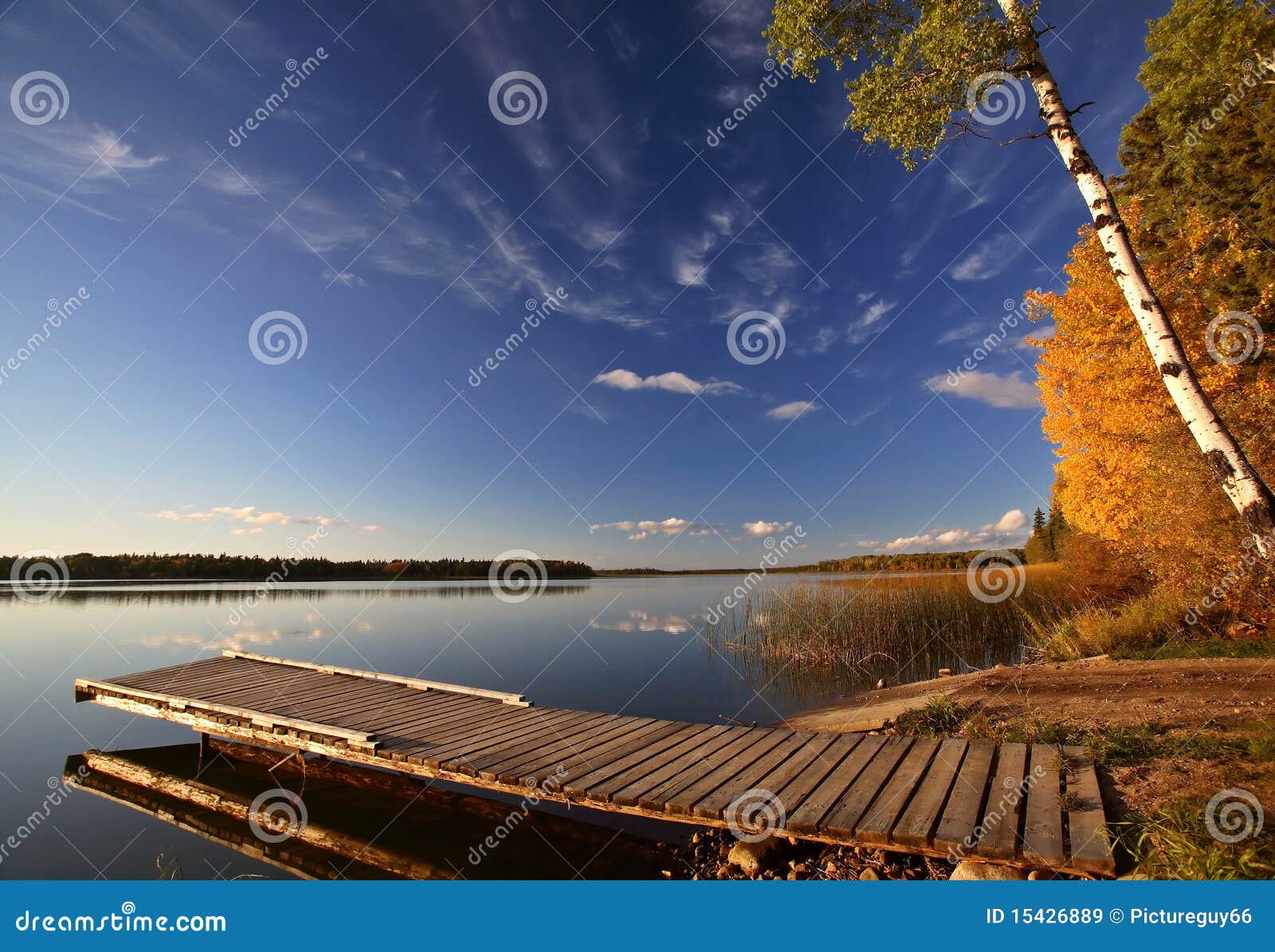 Boat dock and autumn trees stock image. Image of scene - 15426889