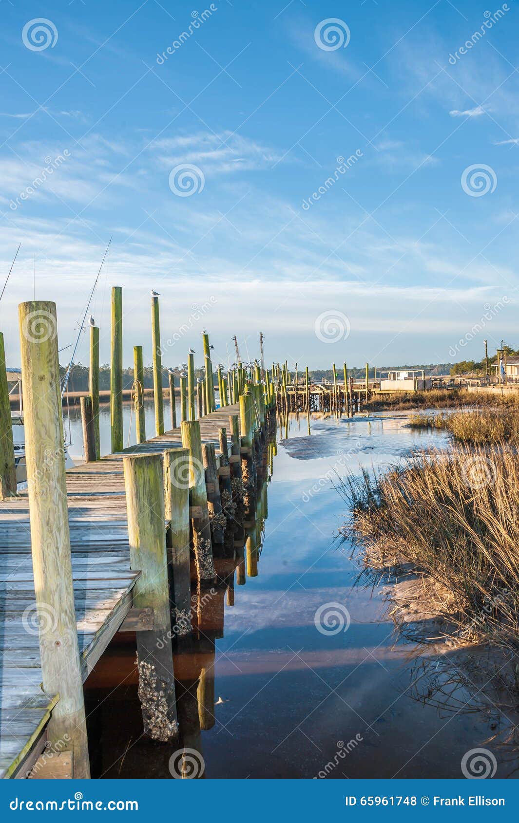 Boat Dock Blues stock photo. Image of blues, poles, calabash - 65961748