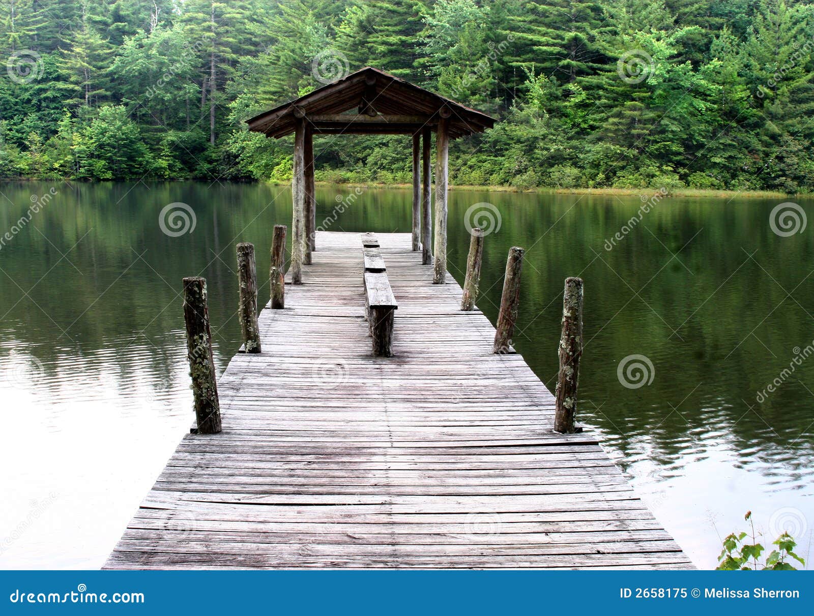 Boat dock on lake stock image. Image of trees, outdoors - 2658175