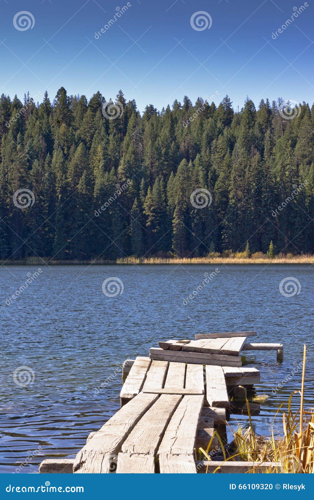 Boat Dock on a Lake in the Forest Stock Photo - Image of country ...