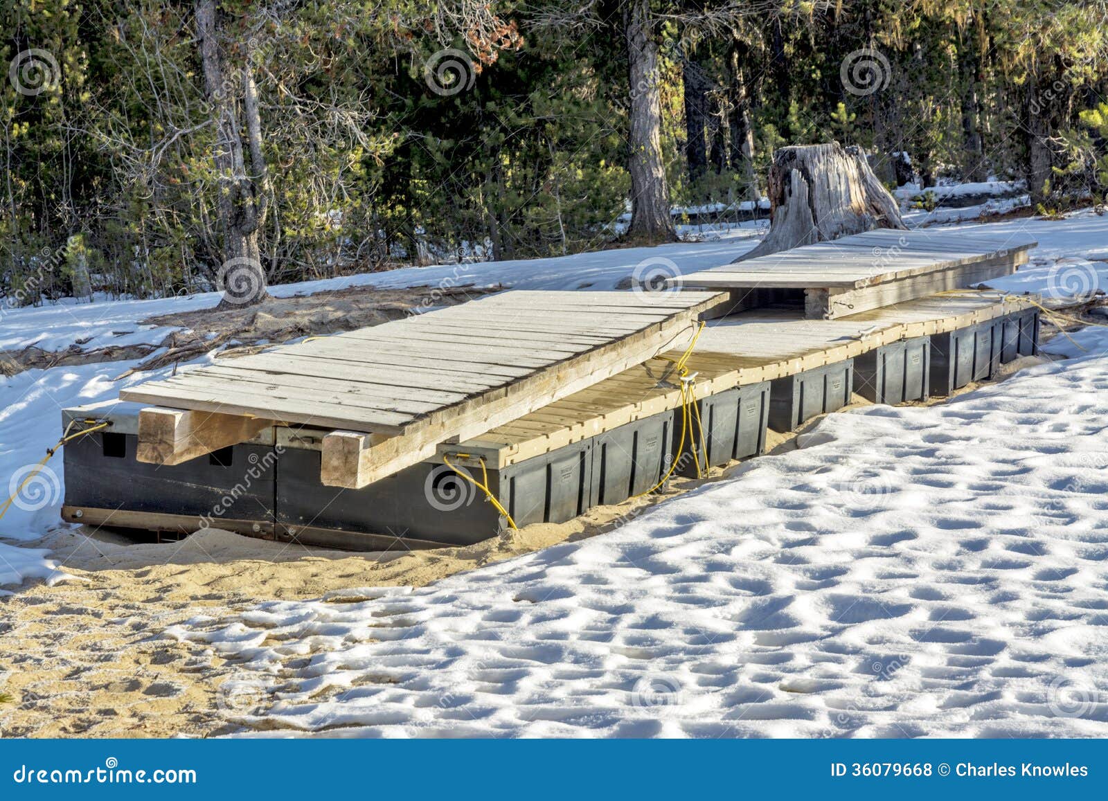 Boat Docks Stored on the Shore for Winter Stock Photo - Image of forest ...
