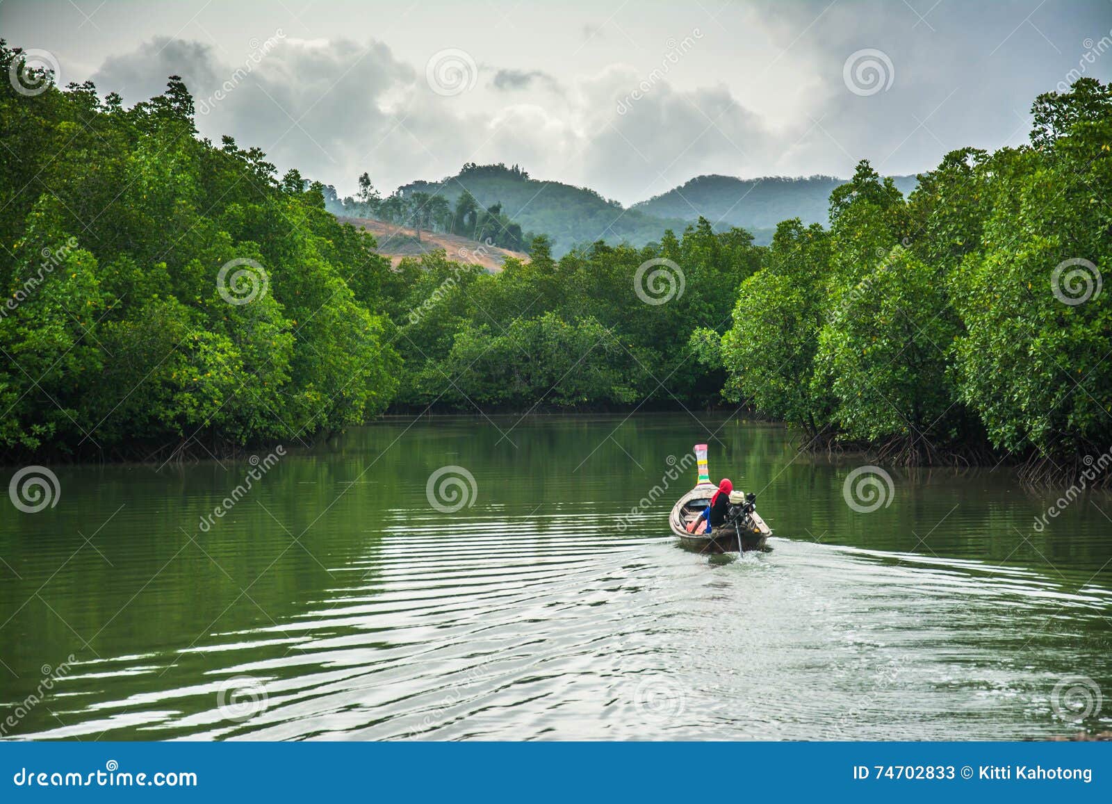 Boat Fishing with Mangrove Forest Stock Image - Image of natural ...