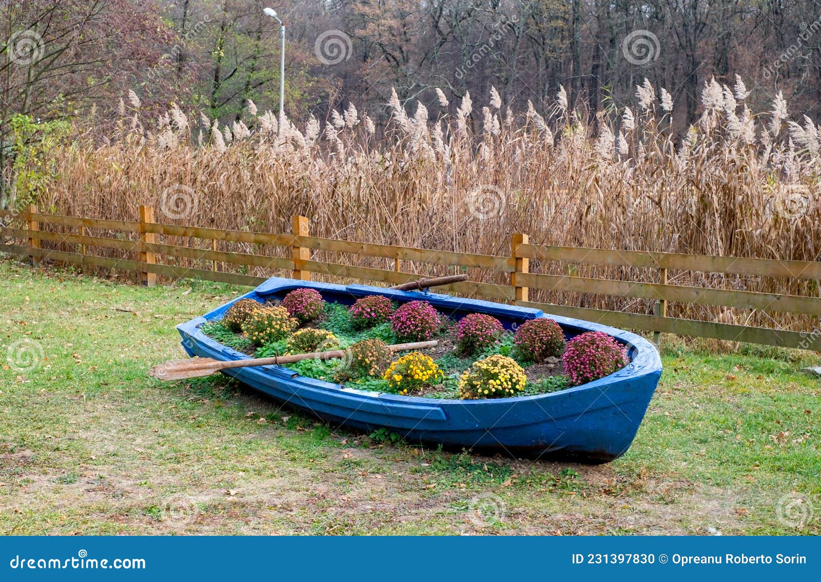 A boat full of flowers stock photo. Image of plant, park - 231397830