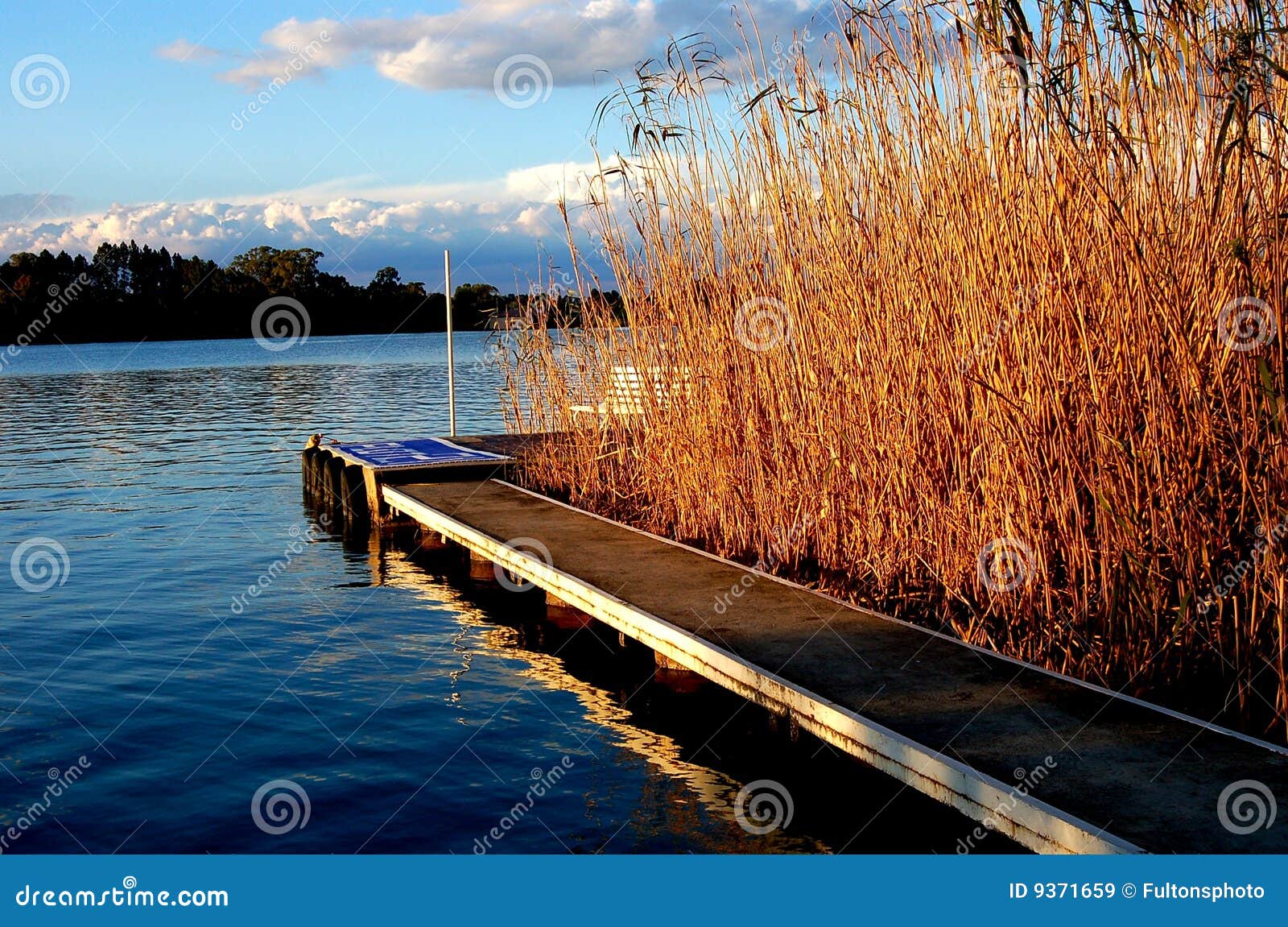 Boat Jetty on a River stock image. Image of speedboat - 9371659