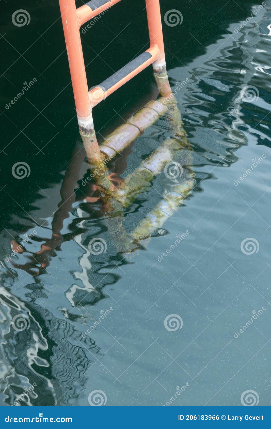 Ladder Off the Back of a Boat Stock Photo - Image of fishing, buoy ...