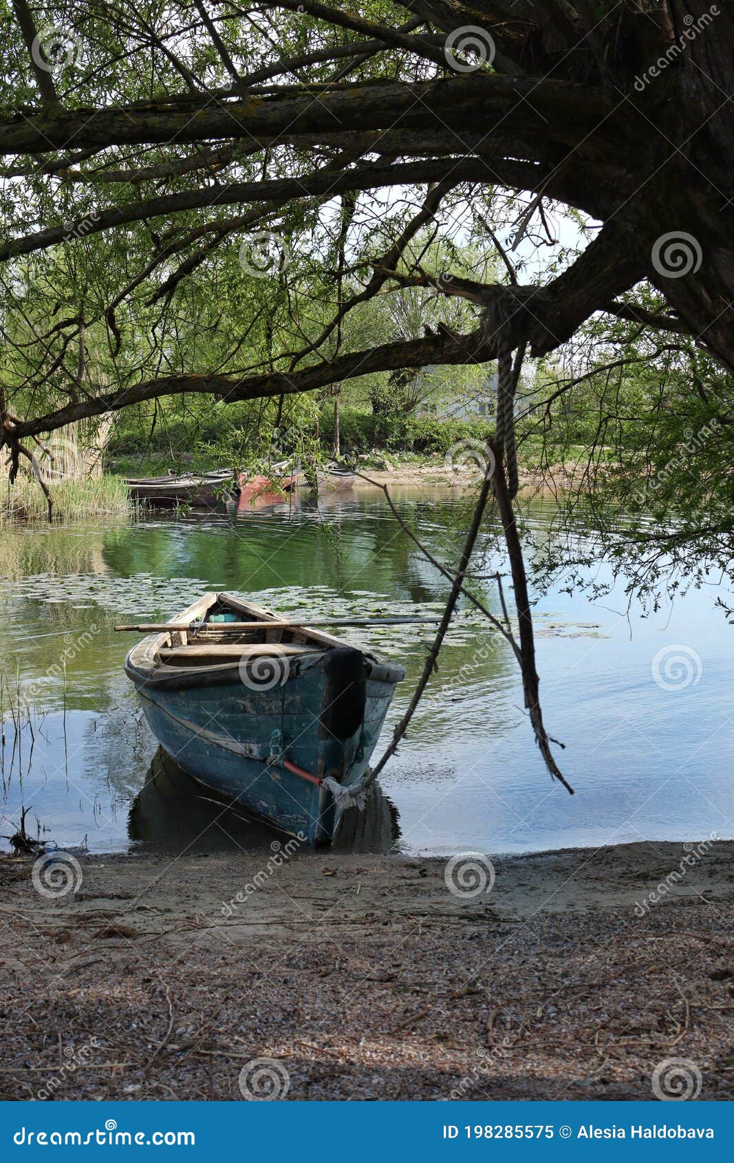 Boat in the Lake is Tied To a Tree. Stock Image - Image of boat, lake ...