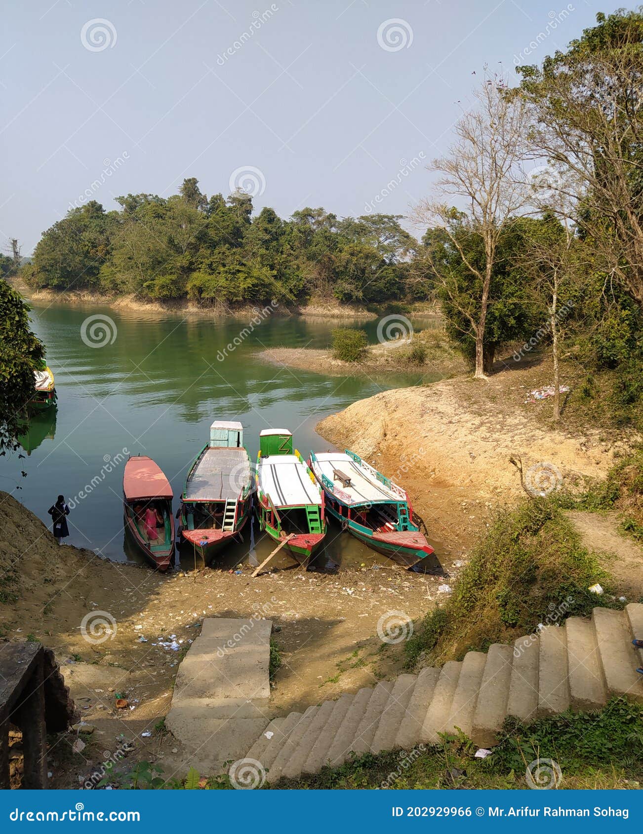 Boat Lake Tree Nature editorial photo. Image of reservoir - 202929966