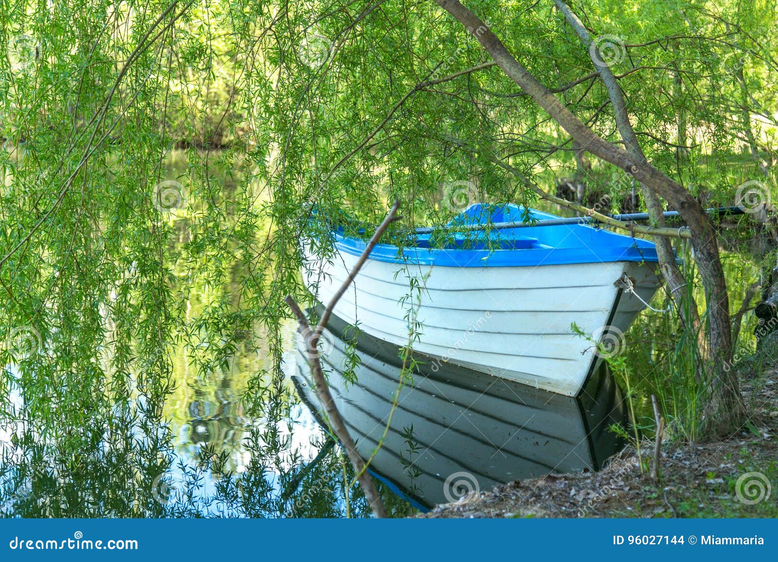 Boat on a Lake Under Willow Tree Stock Photo - Image of enjoyment ...