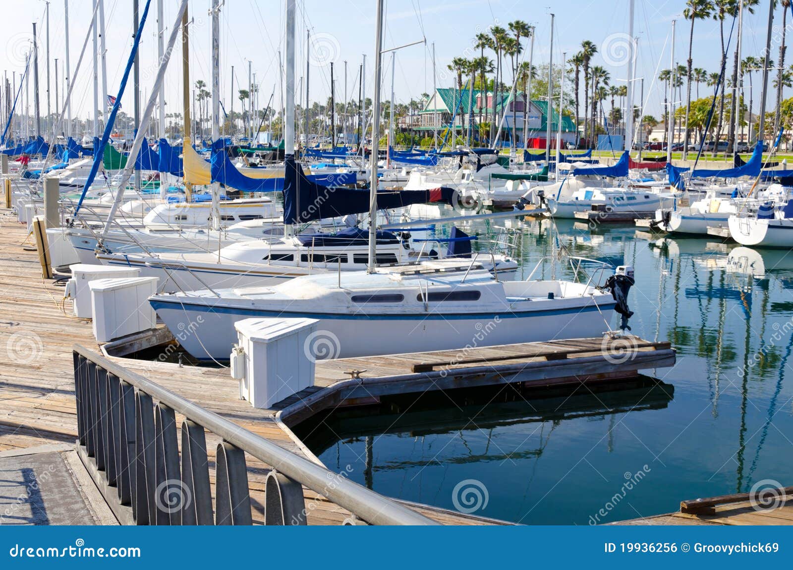 Boat at the marina stock photo. Image of tree, sailing - 19936256