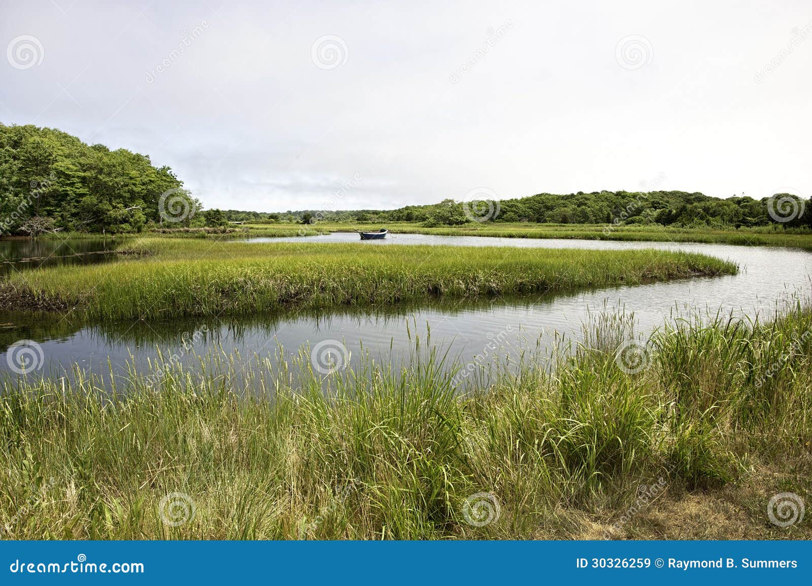 Boat in Marsh stock image. Image of tourism, environmentalism - 30326259