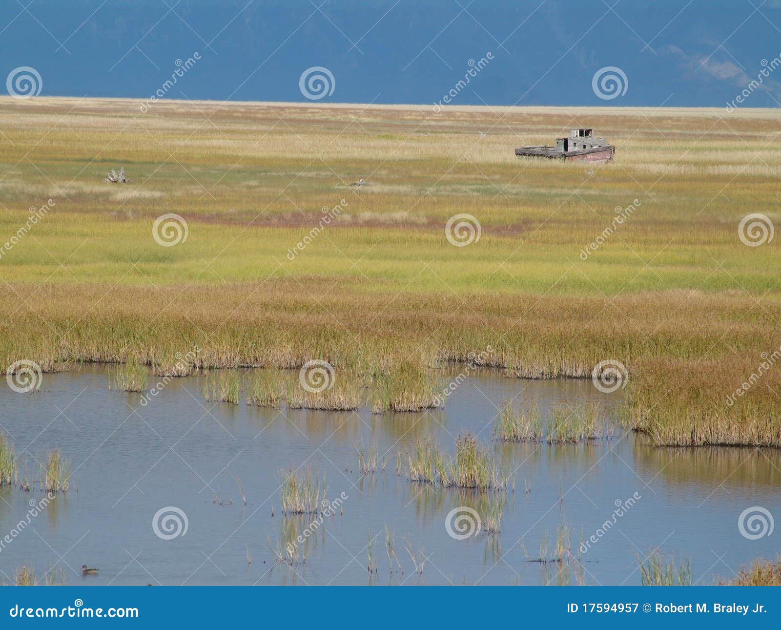 Boat on marsh or wetland stock image. Image of marsh - 17594957
