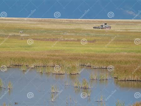 Boat on marsh or wetland stock image. Image of marsh - 17594957