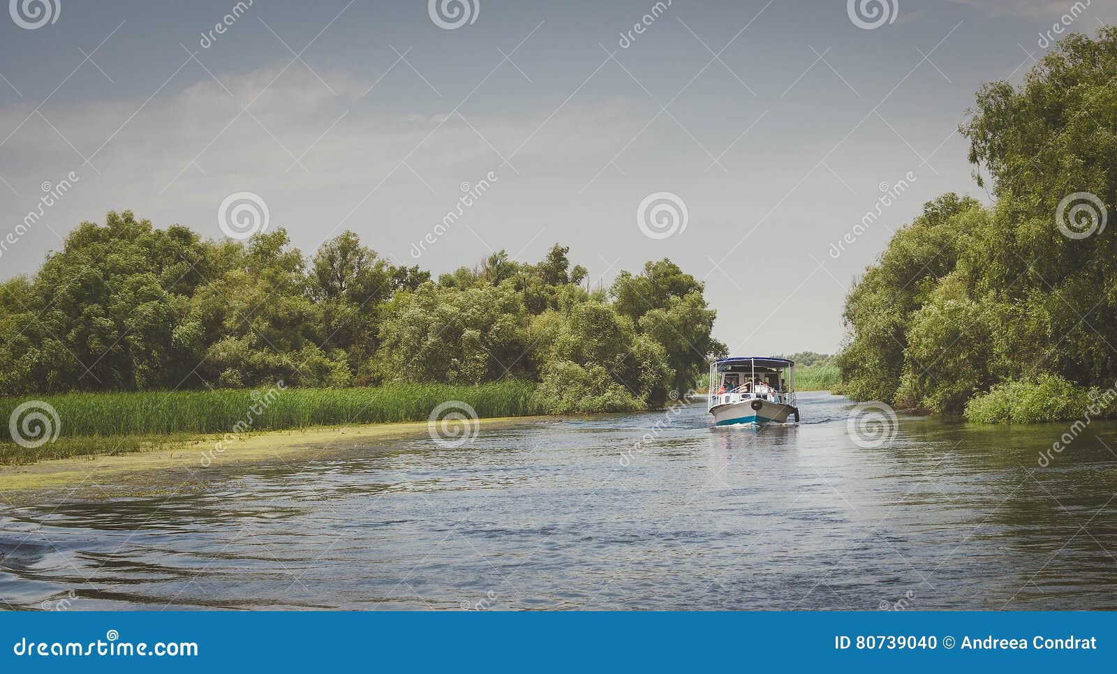 Boat Middle Danube Delta Stock Photos - Free & Royalty-Free Stock ...
