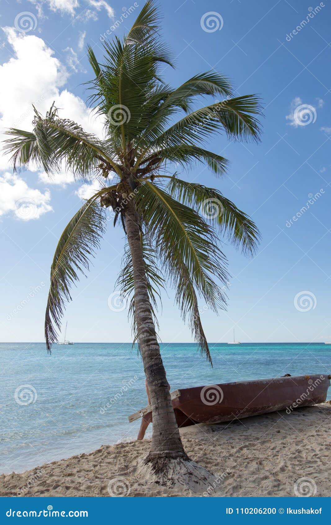 Boat Near the Palm Trees on the Beach Stock Photo - Image of idyllic ...