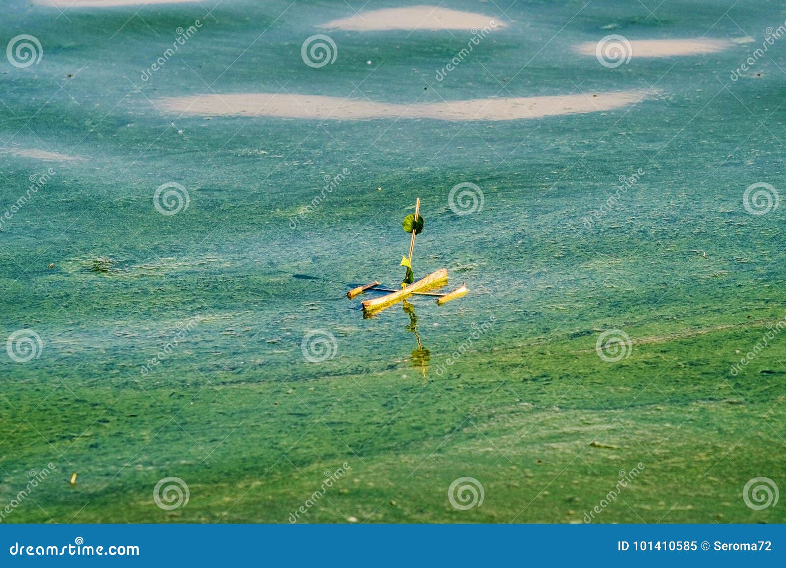 The Boat Out of Twigs and Leaves Stock Image - Image of toys, physics ...