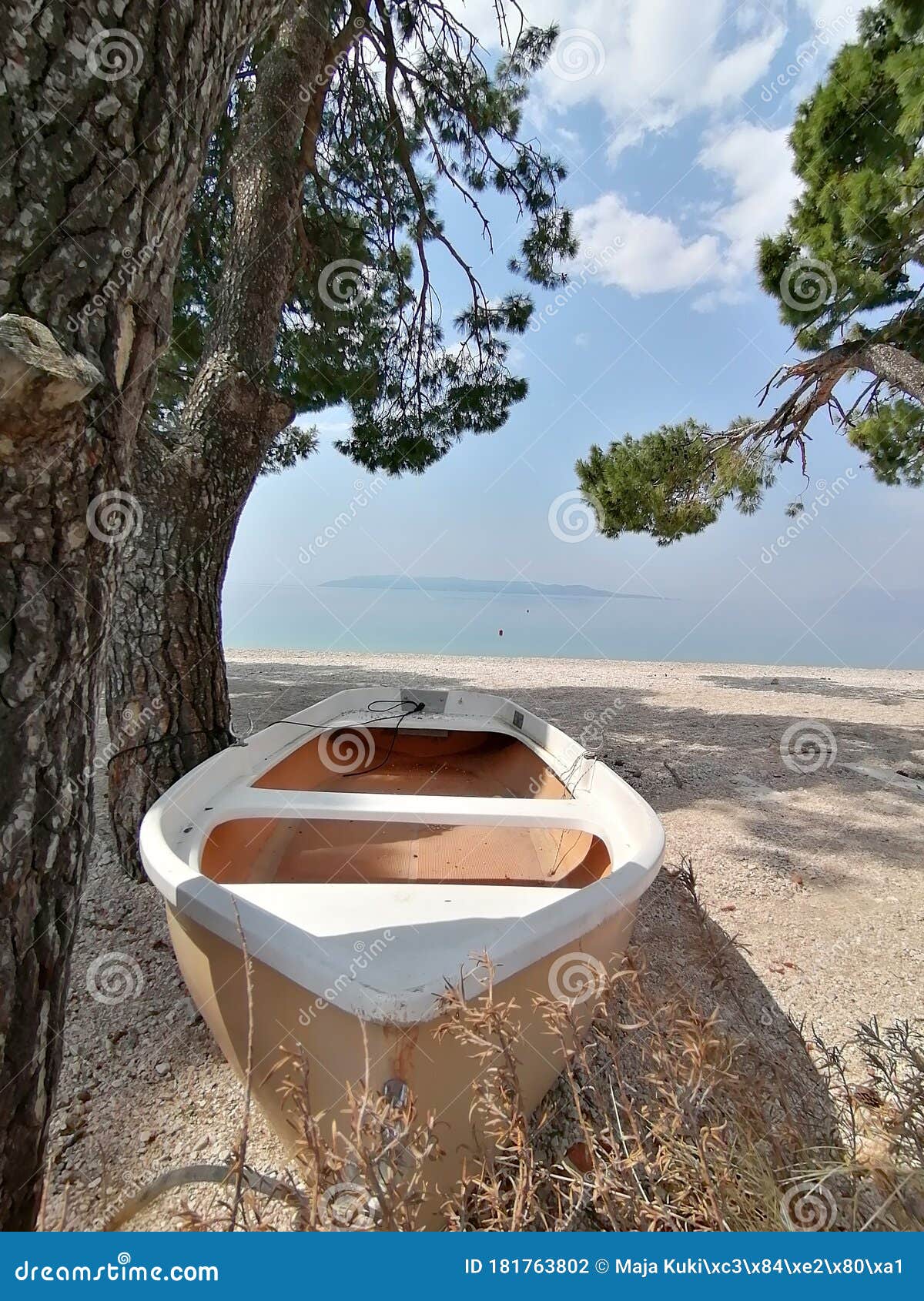 Boat outside of the sea stock photo. Image of plant - 181763802