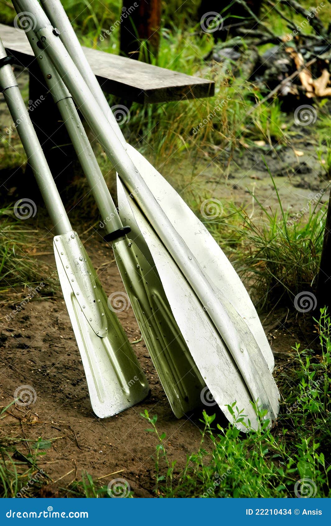 Boat paddles stock photo. Image of water, recreation - 22210434