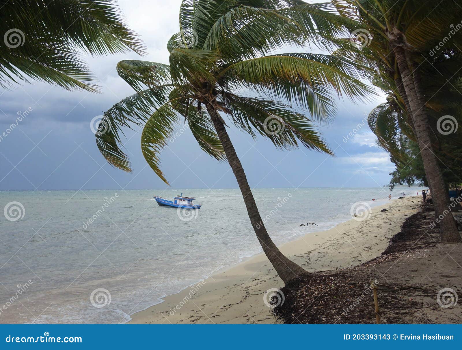 The boat and the palm tree stock image. Image of palm - 203393143