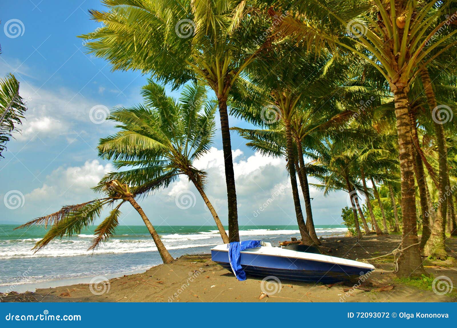 Boat and Palm Trees stock photo. Image of wind, vocation - 72093072