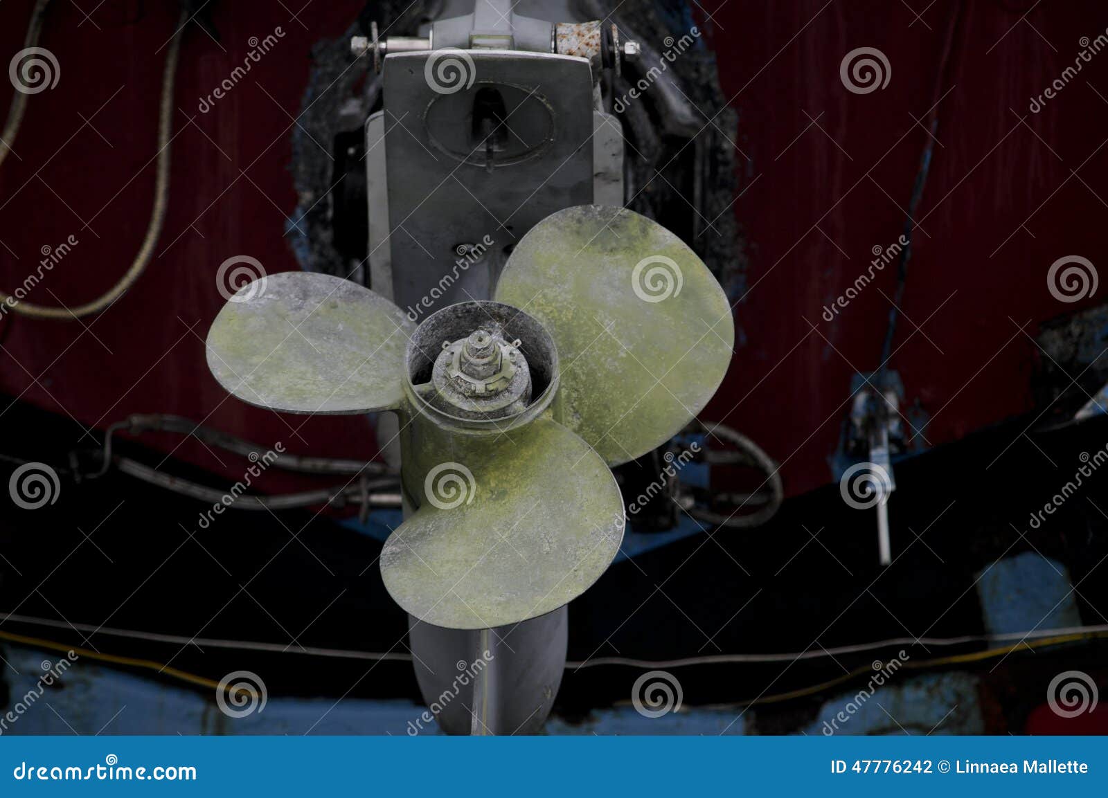 Boat propellar stock photo. Image of motor, boat, propellar - 47776242