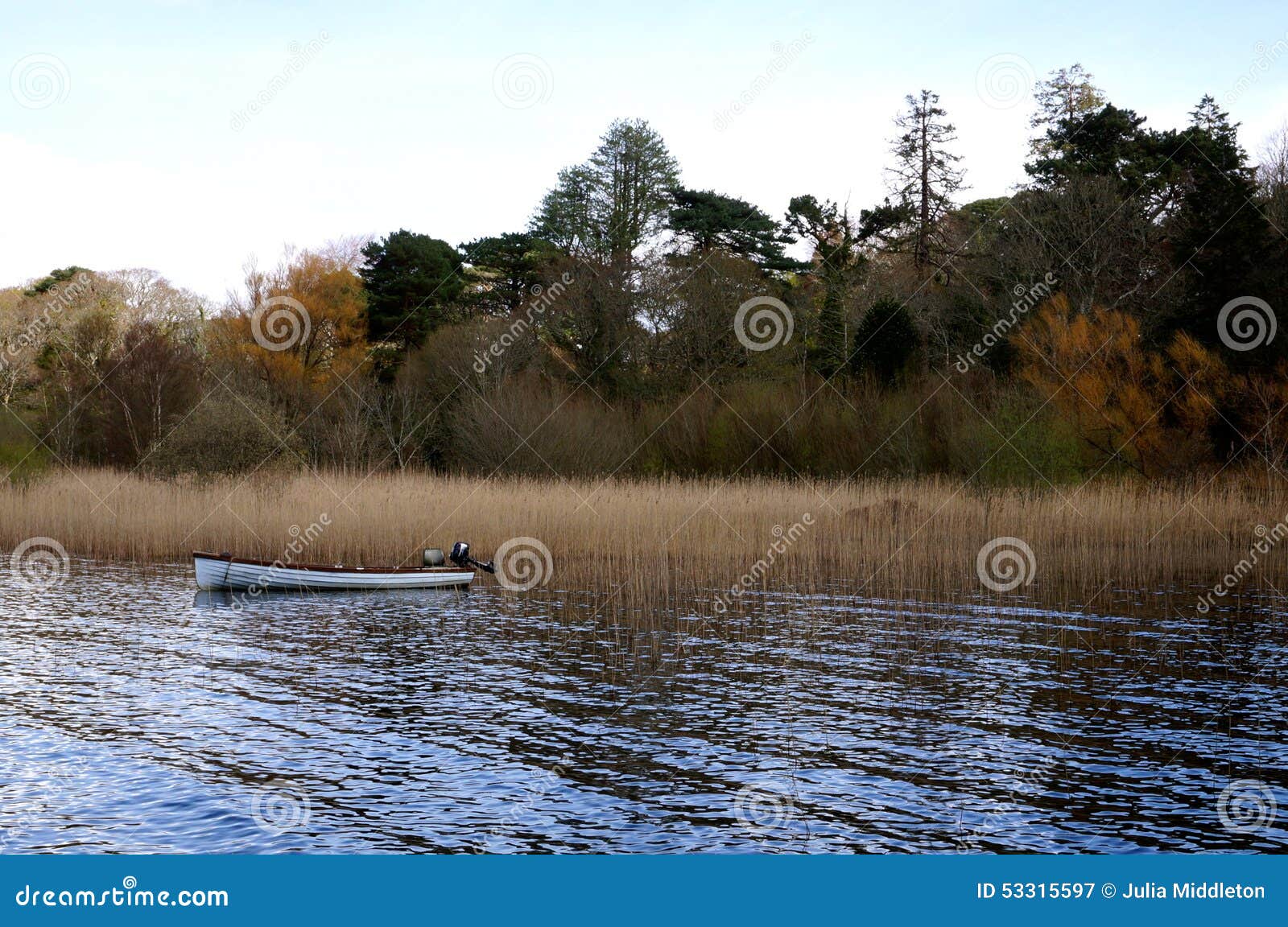 Boat on a Lake during Spring Stock Image - Image of vegetation, kerry ...