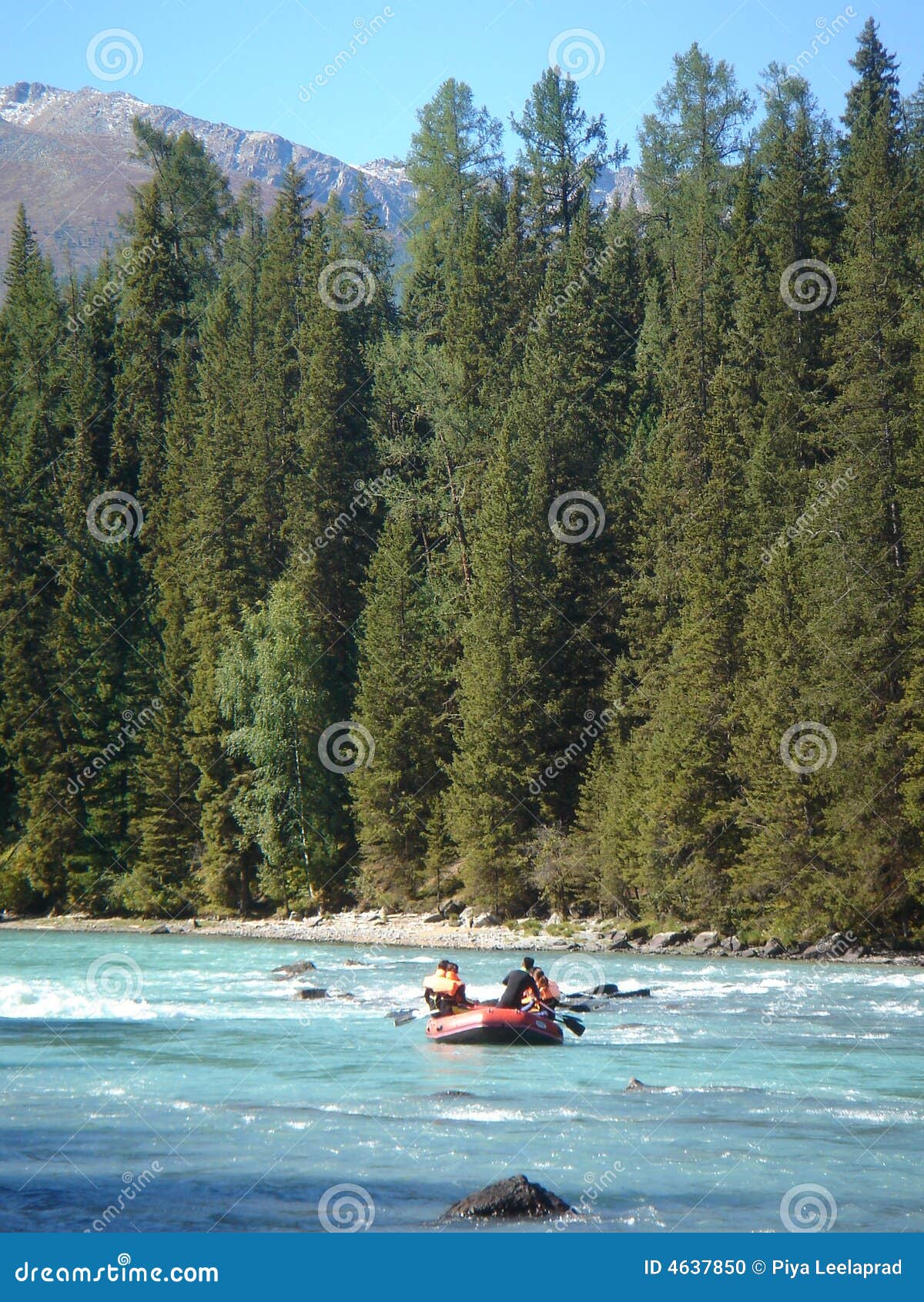 Boat rafting stock photo. Image of forests, mountain, trees - 4637850