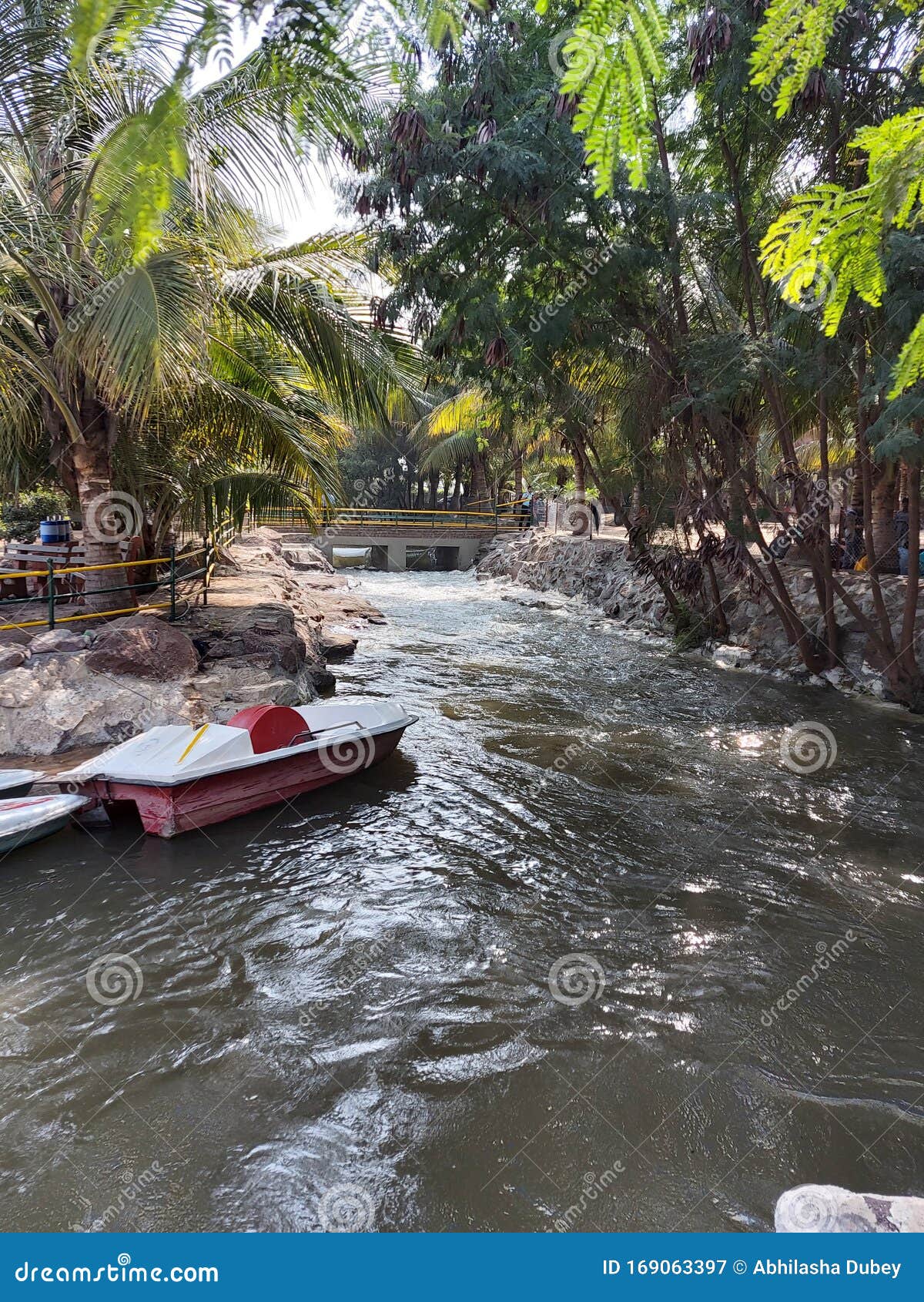 Boat Ride at a High Speed Stream Stock Image - Image of speed, ride ...