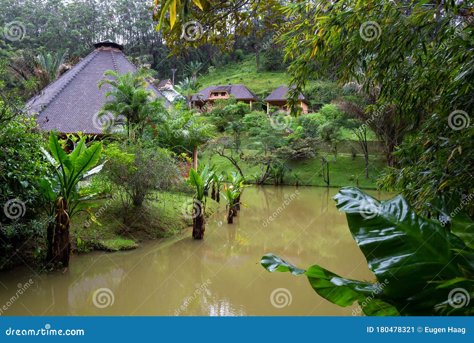 A Boat Ride on the Water in the Rainforest on the Island of Madagascar ...