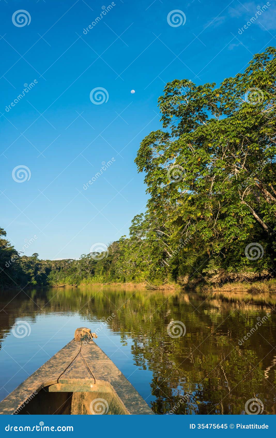 Boat in the River in the Peruvian Amazon Jungle at Madre De Dios Peru ...