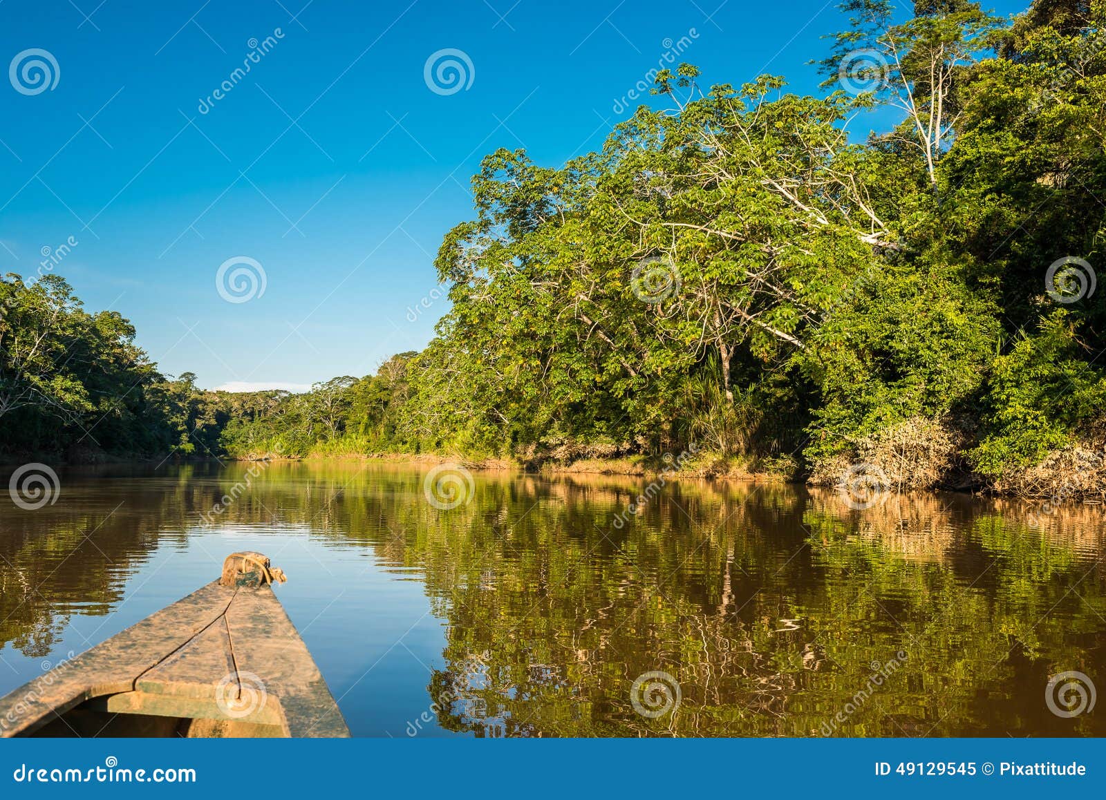 River In The Amazon Rainforest At Dusk, Peru, South America Royalty ...