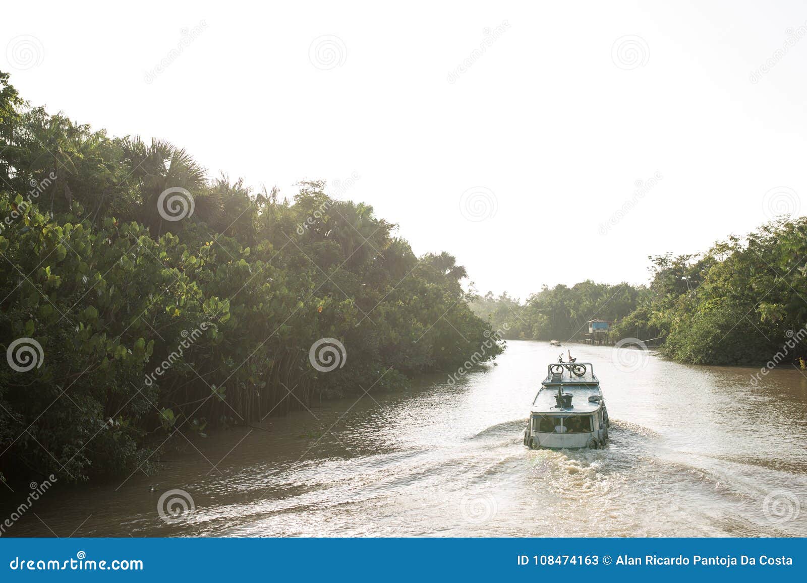 Boat Sailing on a Amazon River Editorial Stock Photo - Image of nature ...