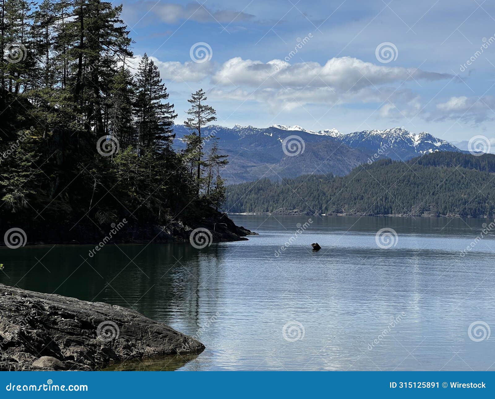 Boat Sailing through Forested River, Mirrored Reflection in Water Stock ...