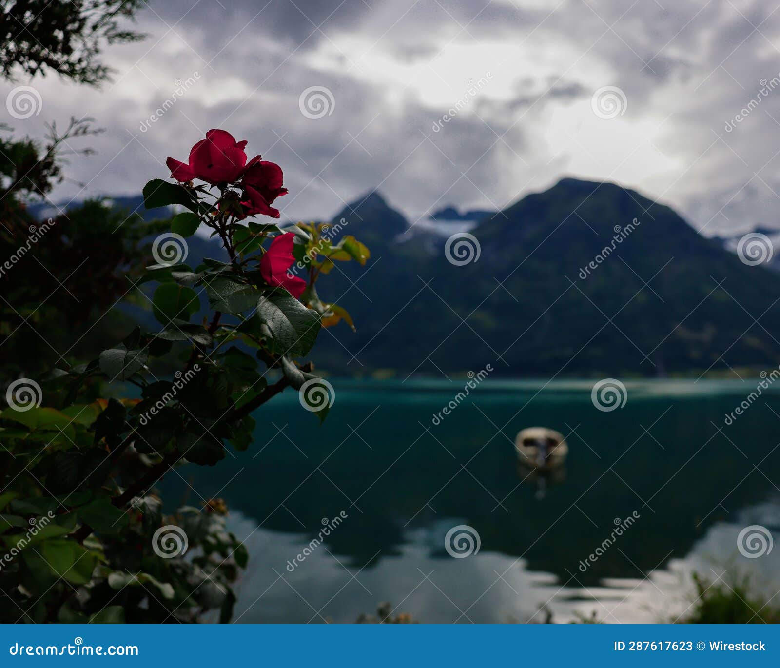 Boat Sailing in Front of a Majestic Mountain Range, with Red Roses in ...