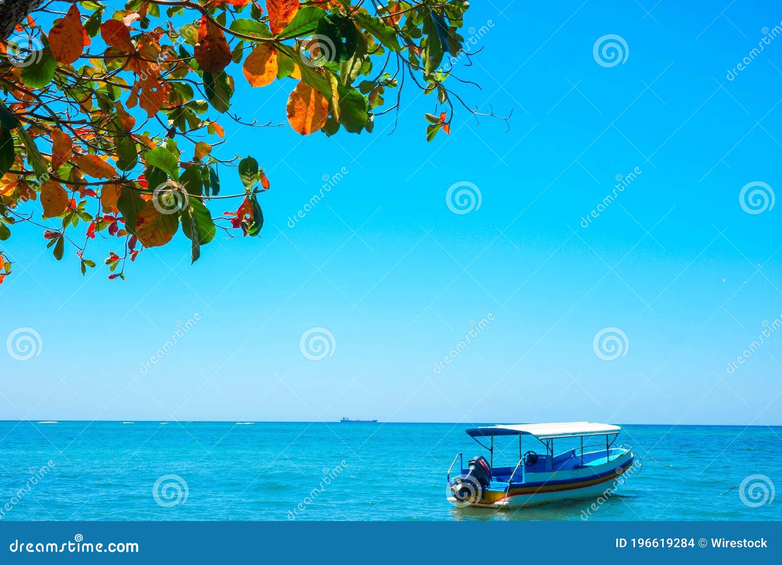 Boat at Sea with Autumn Leaves in the Foreground Stock Photo - Image of ...