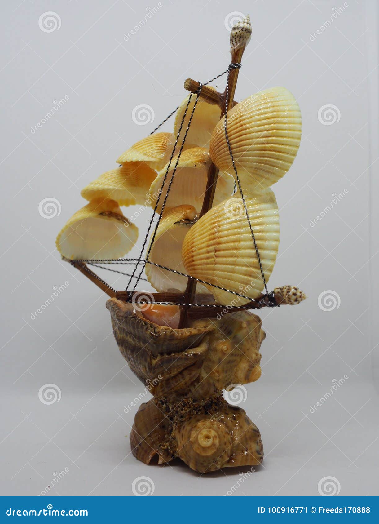 The boat of sea shells stock image. Image of background - 100916771