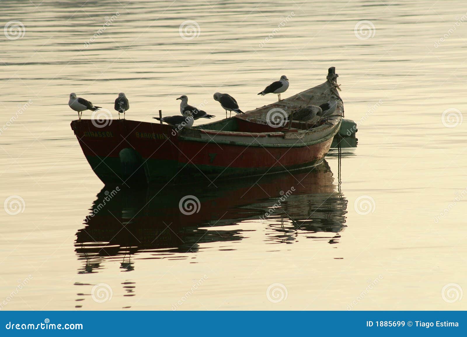 The boat and the seagul stock image. Image of seagul, wood - 1885699