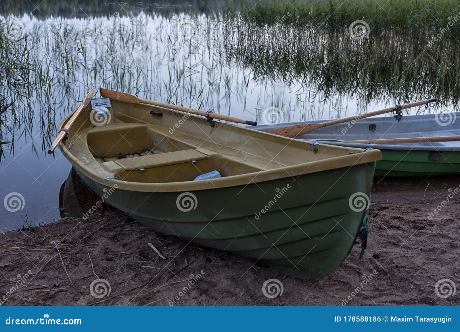 Boat on the Shore of a Forest Lake Stock Photo - Image of ocean, boats ...