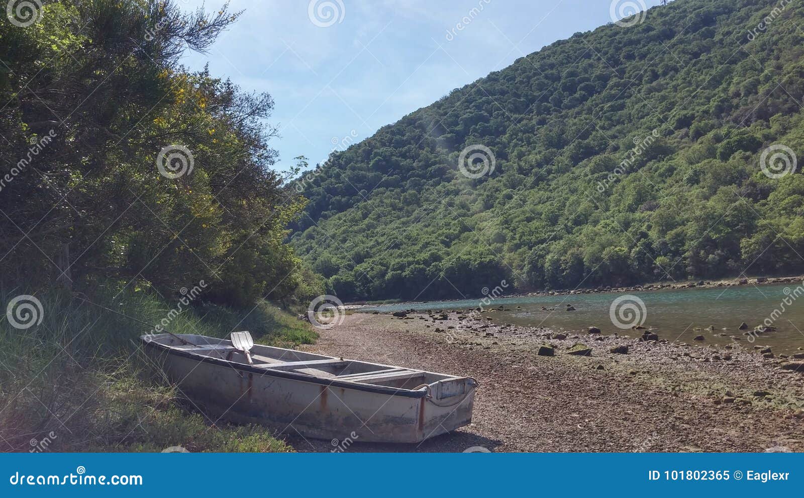 Boat at the lake in forest stock image. Image of blue - 101802365