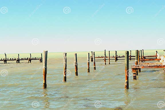 Boat Slips stock photo. Image of palm, slips, gazebo - 55953794