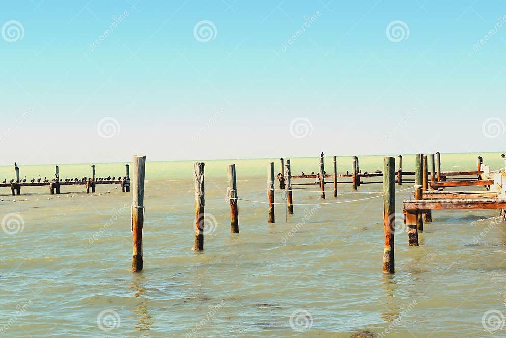 Boat Slips stock photo. Image of palm, slips, gazebo - 55953794