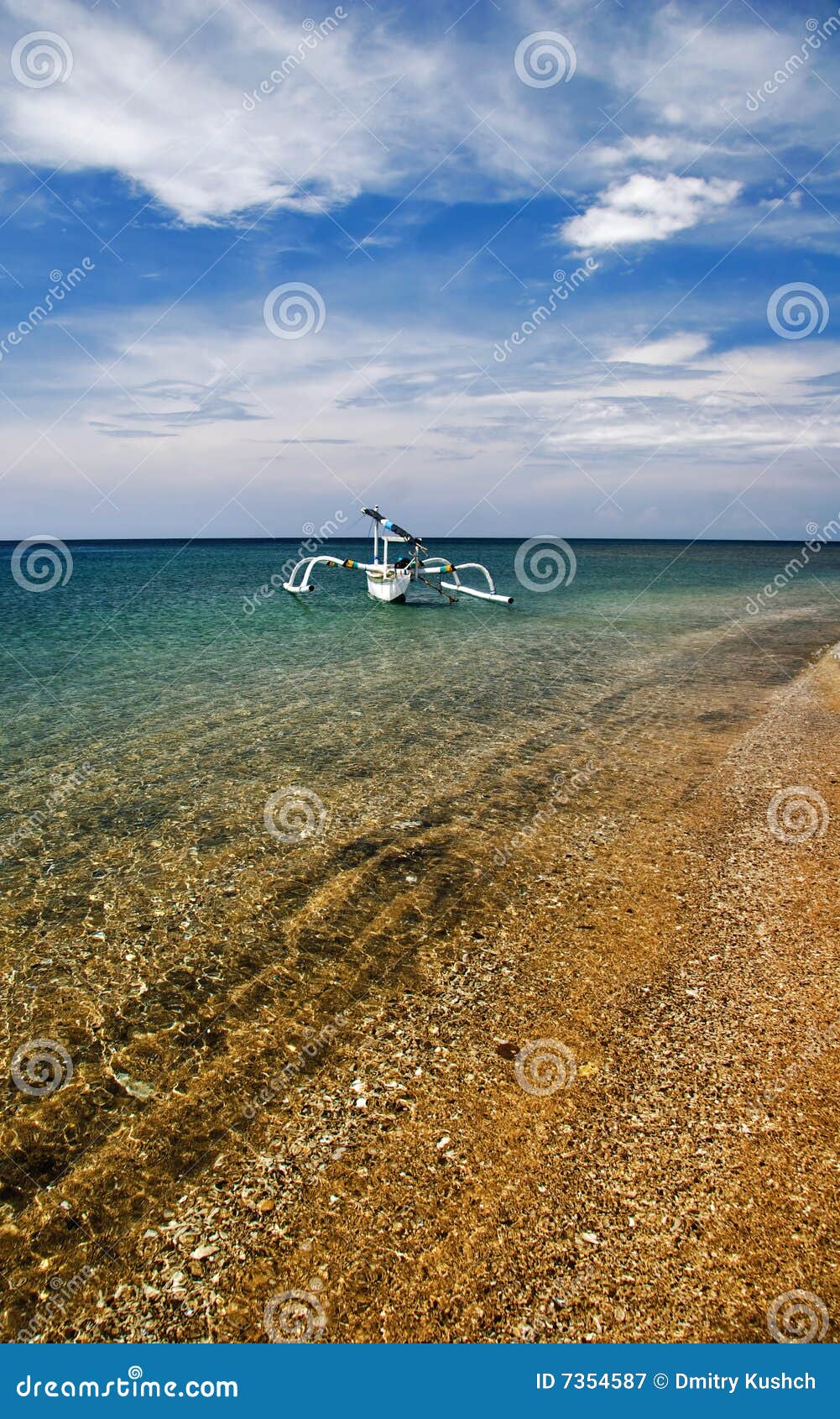 Boat spider stock image. Image of indonesia, asia, bali - 7354587