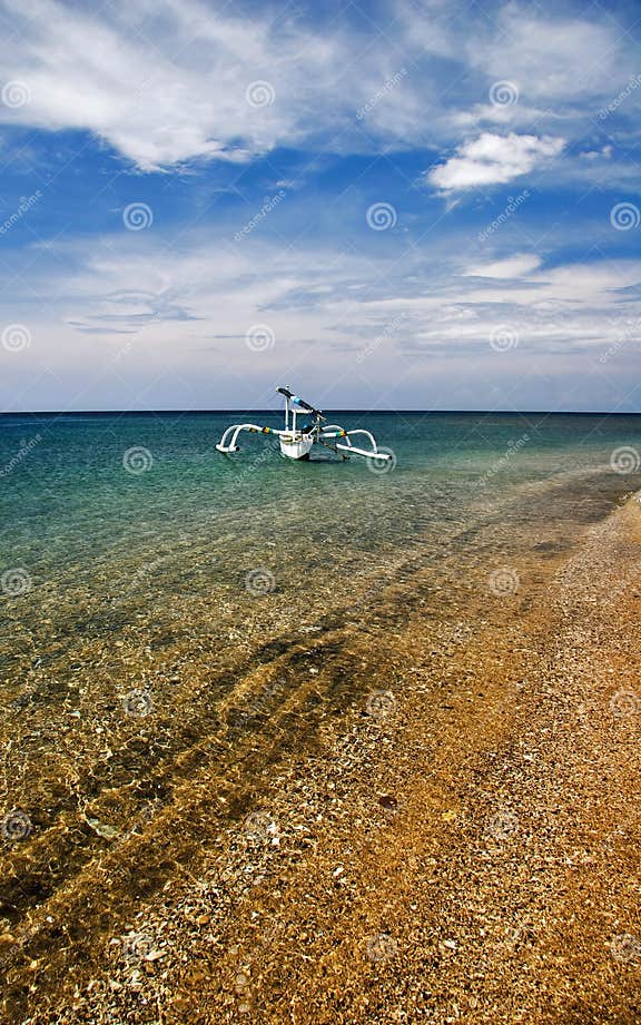 Boat spider stock image. Image of indonesia, asia, bali - 7354587