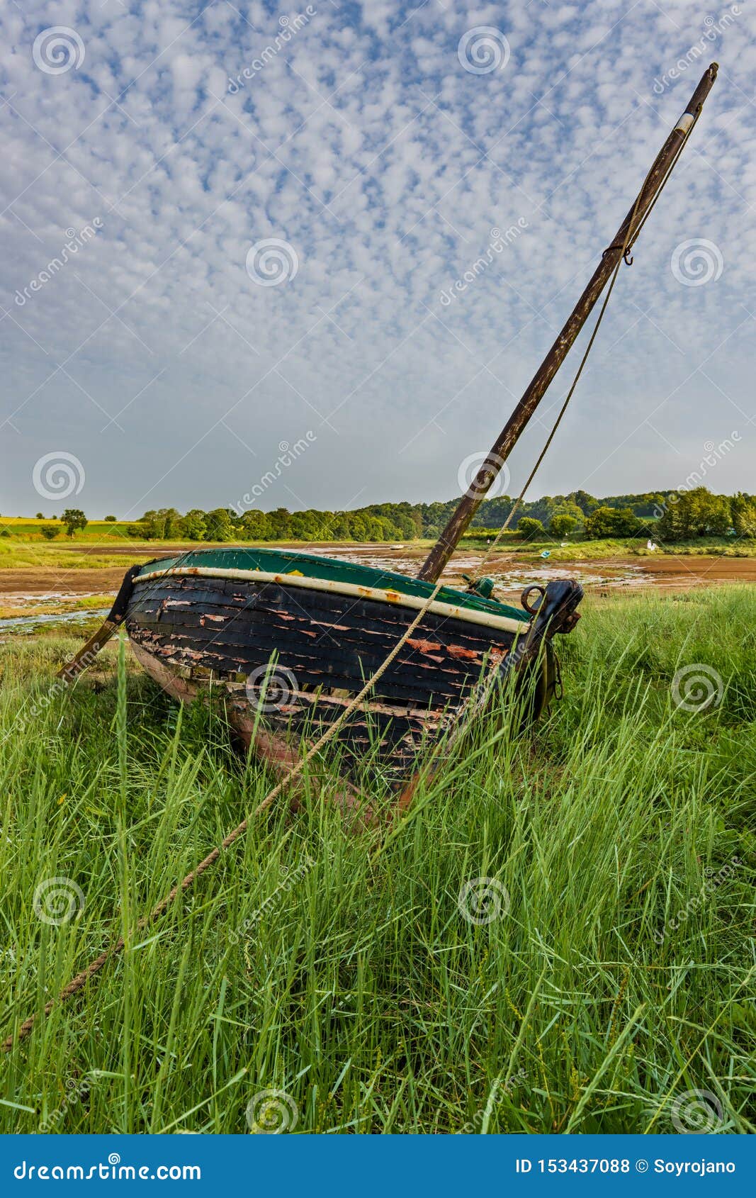 Boat stranded in the grass stock photo. Image of beached - 153437088