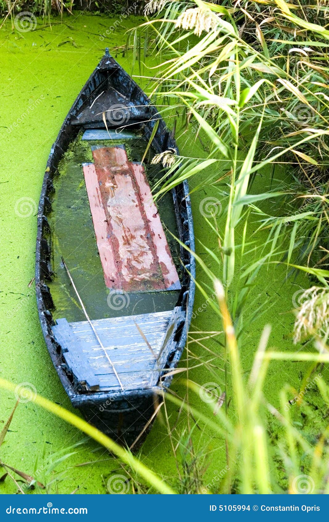 Boat in swamp stock photo. Image of daytime, algae, green - 5105994