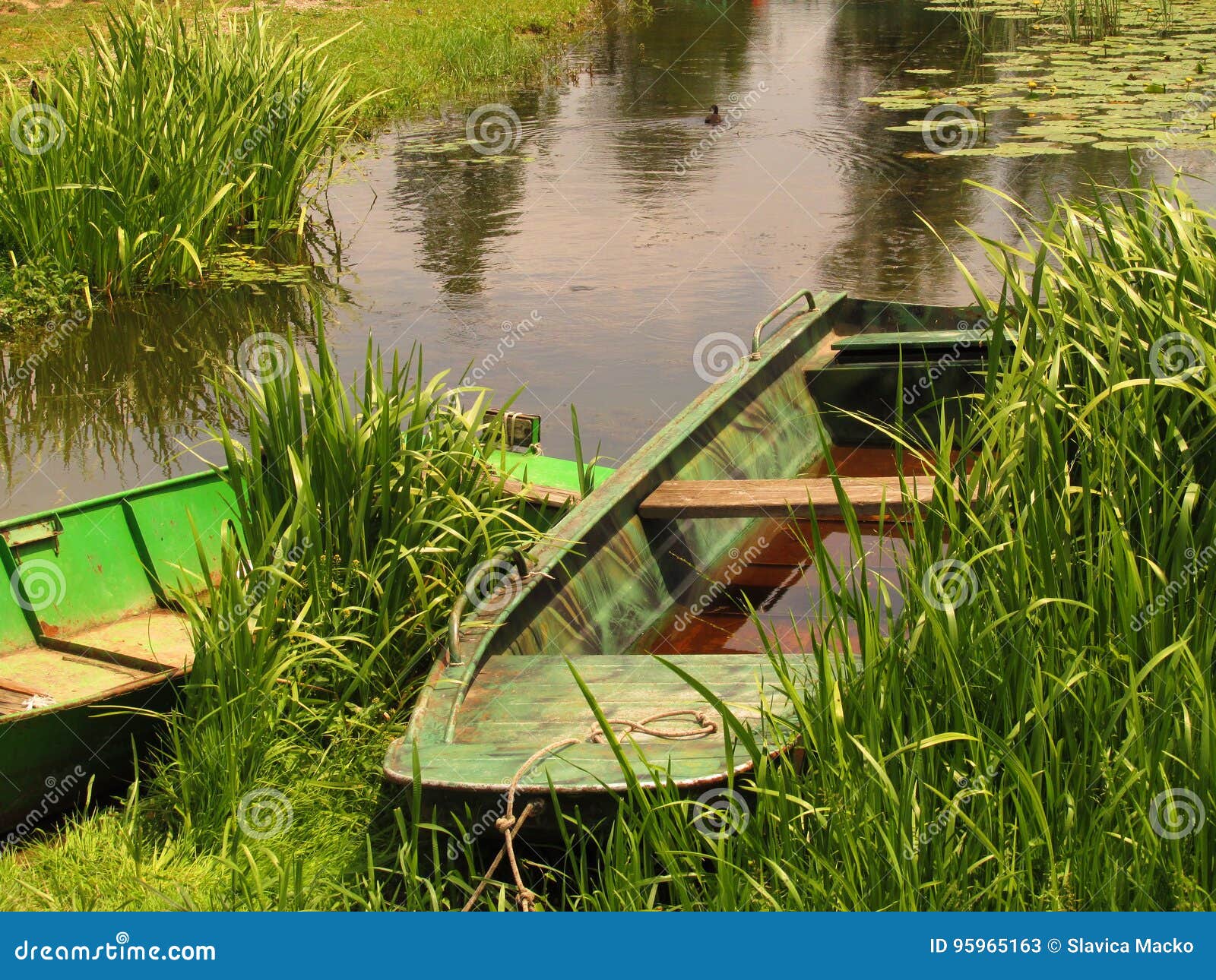 Boat on swamp stock image. Image of wetlands, boat, wild - 95965163