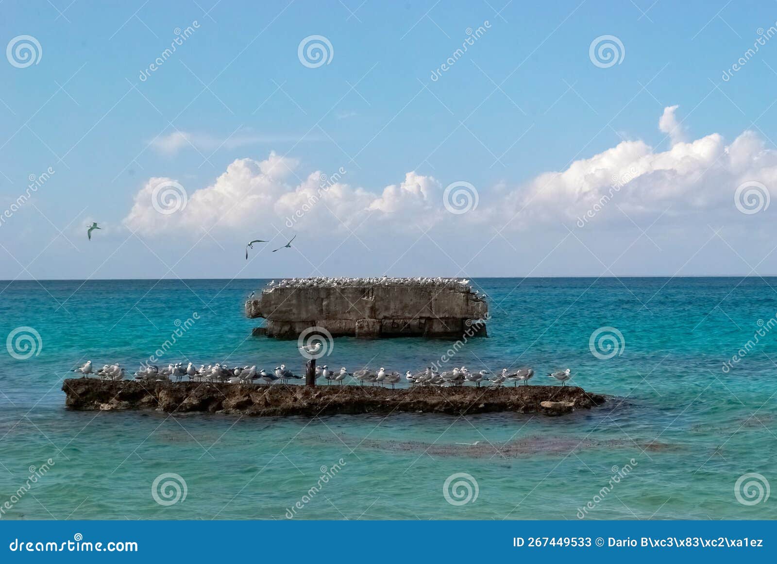 Boat Tied on the Shore of the Island Beach Stock Image - Image of blue ...