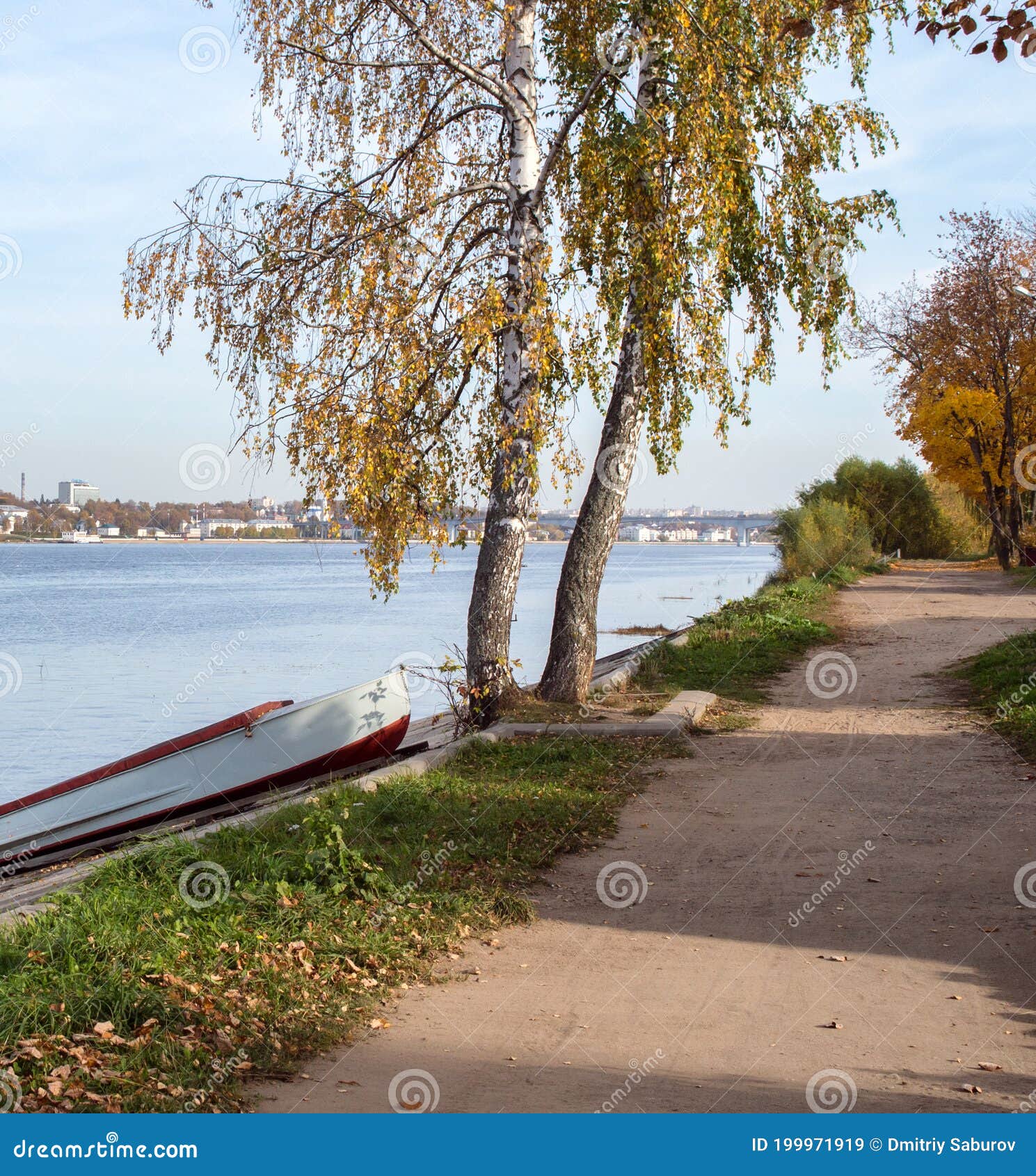 Boat Tied To a Birch Tree on the River Bank. Stock Image - Image of ...