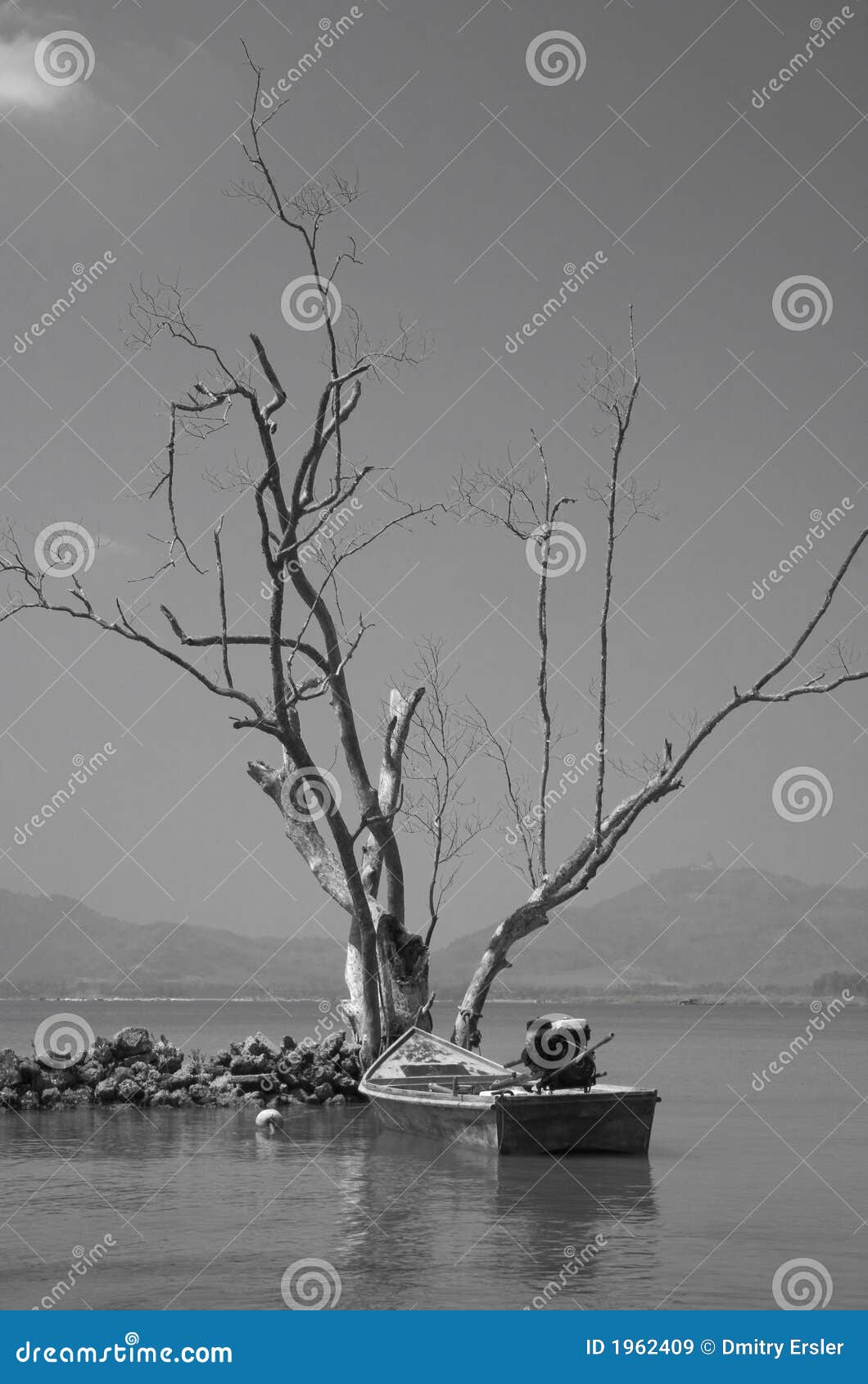 Boat and tree stock image. Image of desolation, flood - 1962409