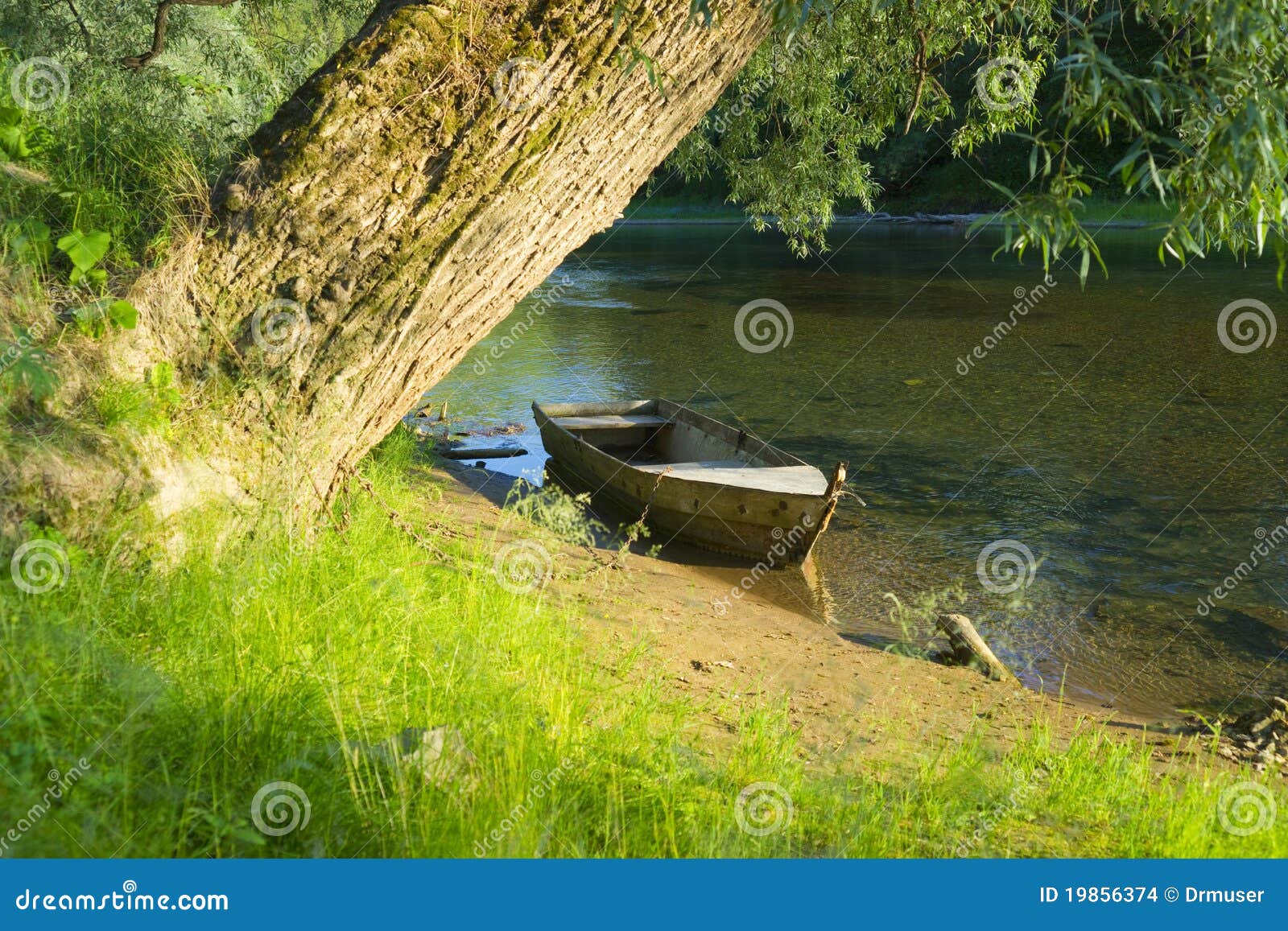 Boat and Tree stock photo. Image of transportation, green - 19856374