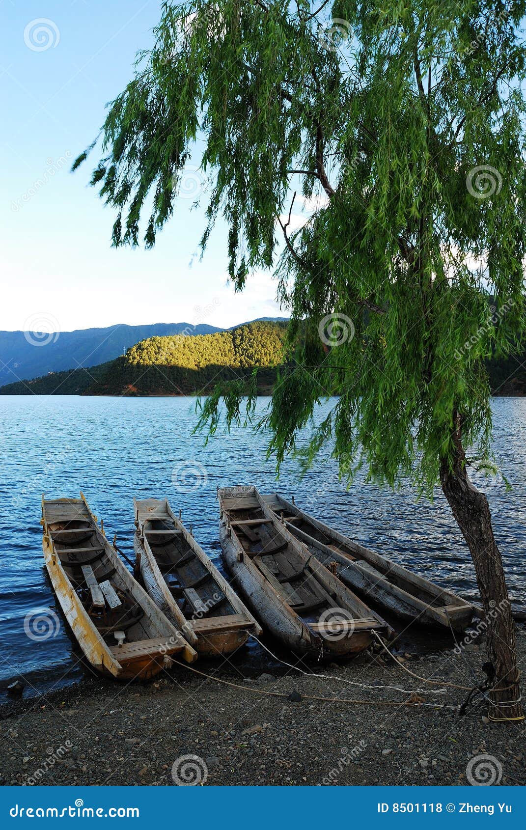 Boat and tree stock photo. Image of rever, lake, lijiang - 8501118